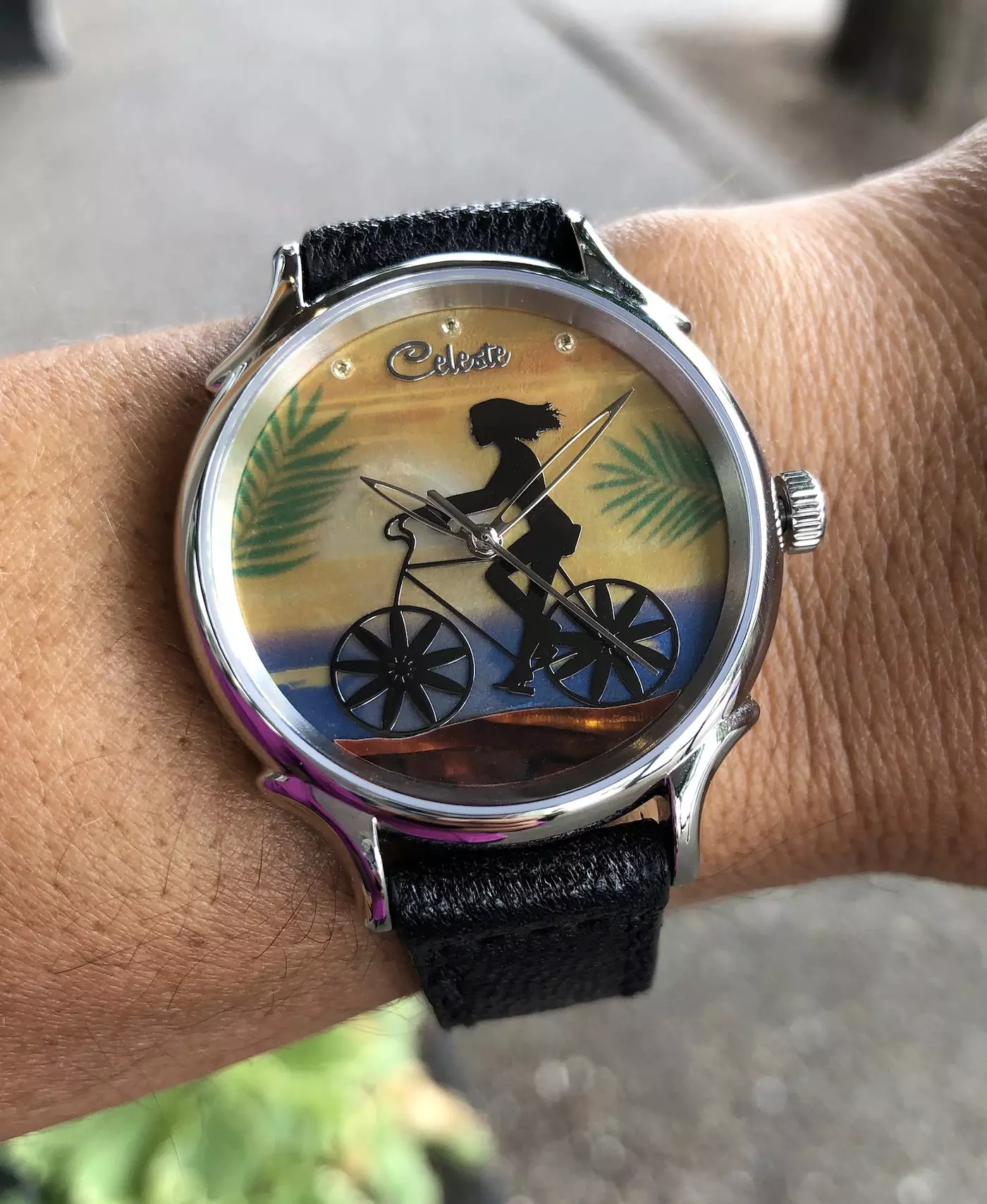 Bird Dogs, Penguins & Pirates: The Fantastical World Of Celeste Watch Company 102818_6