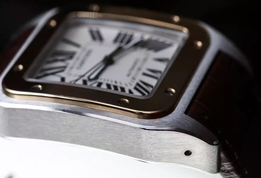 Cartier-Santos-100-wotshi-24