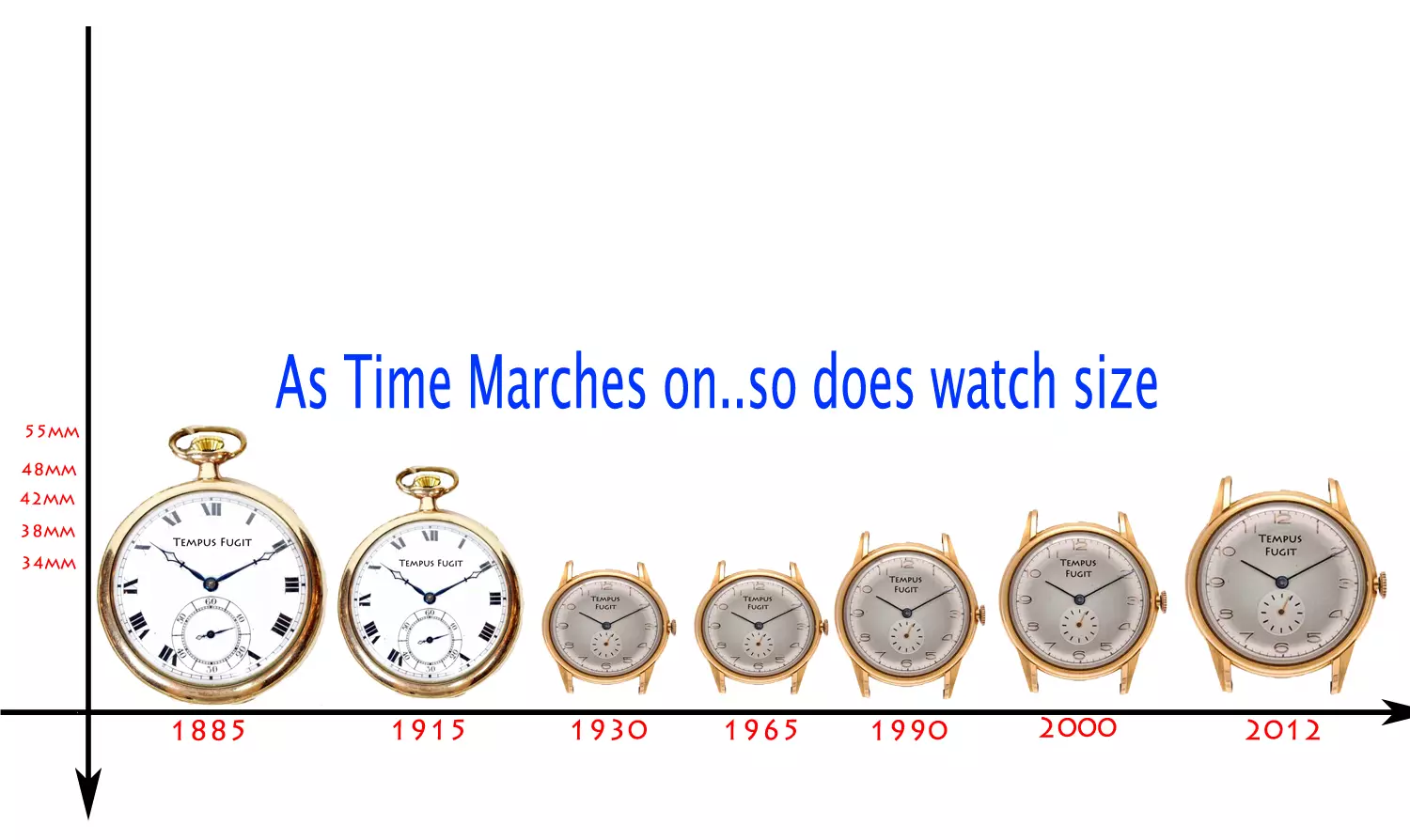 Ժամացույցի չափի էվոլյուցիան