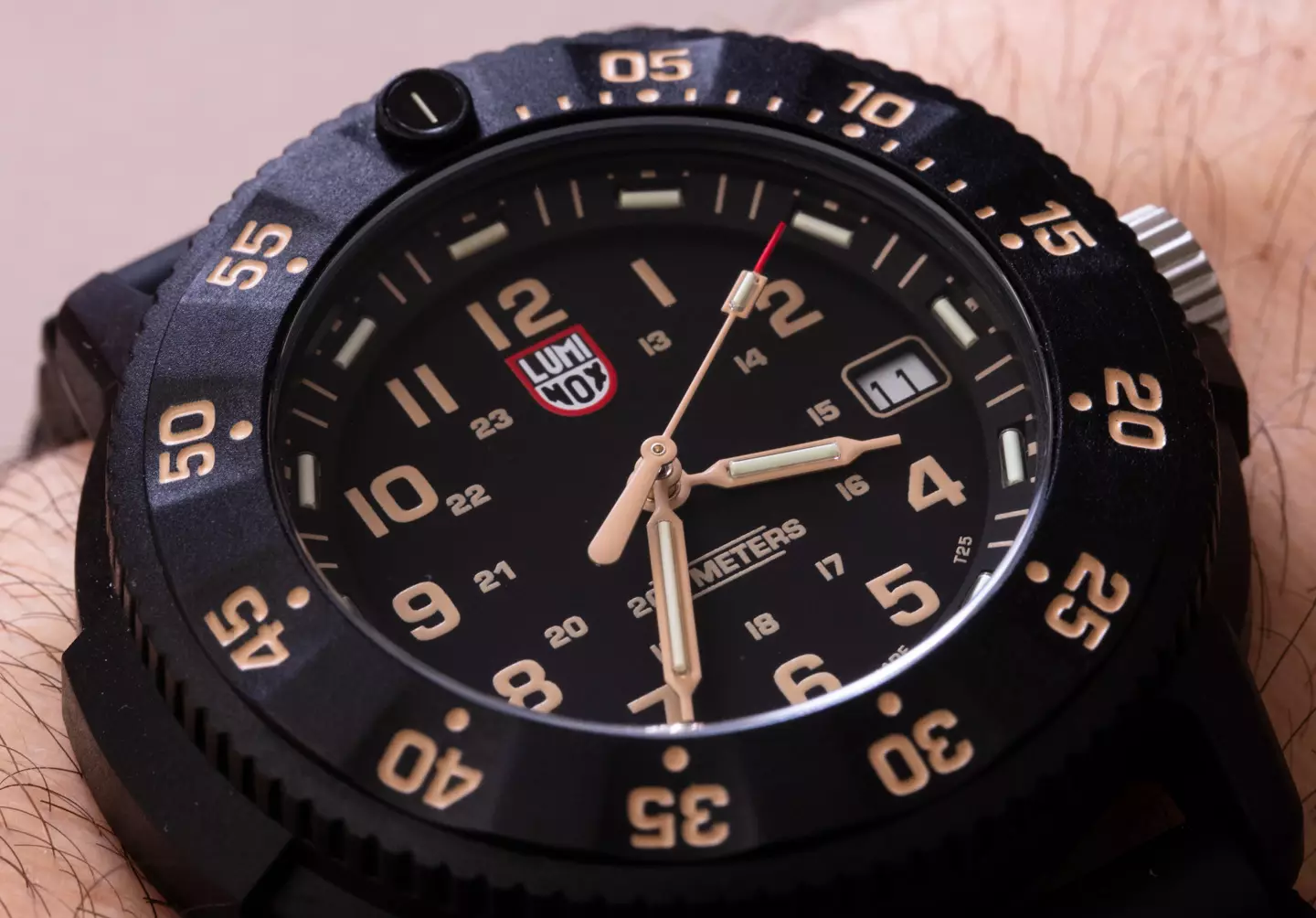 Преглед на часовникот: Luminox Original Navy SEAL Evo 3001 136_4