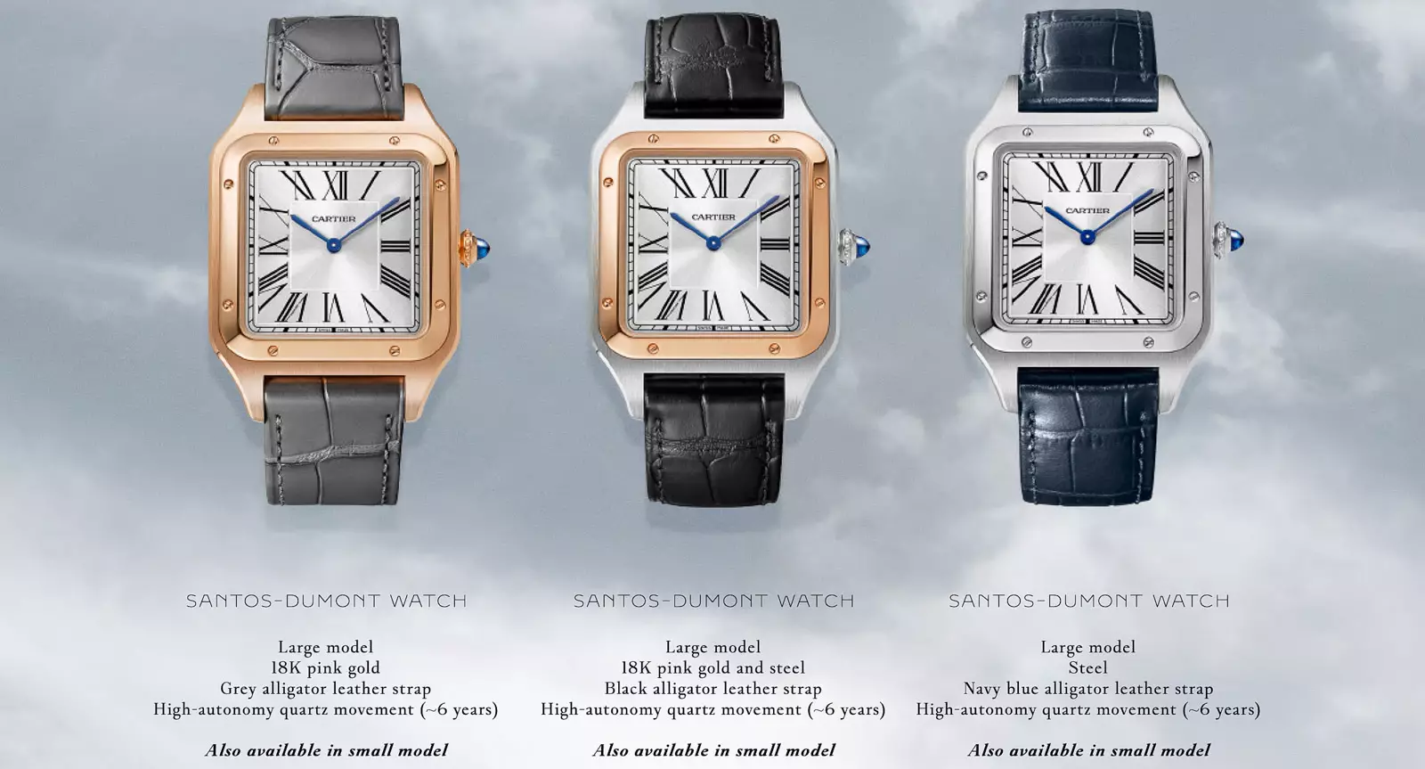 Cartier Santos-Dumont XL Tes-Cua Watches Rau 2020 Tam sim no Kuj Hauv Hlau 18413_7