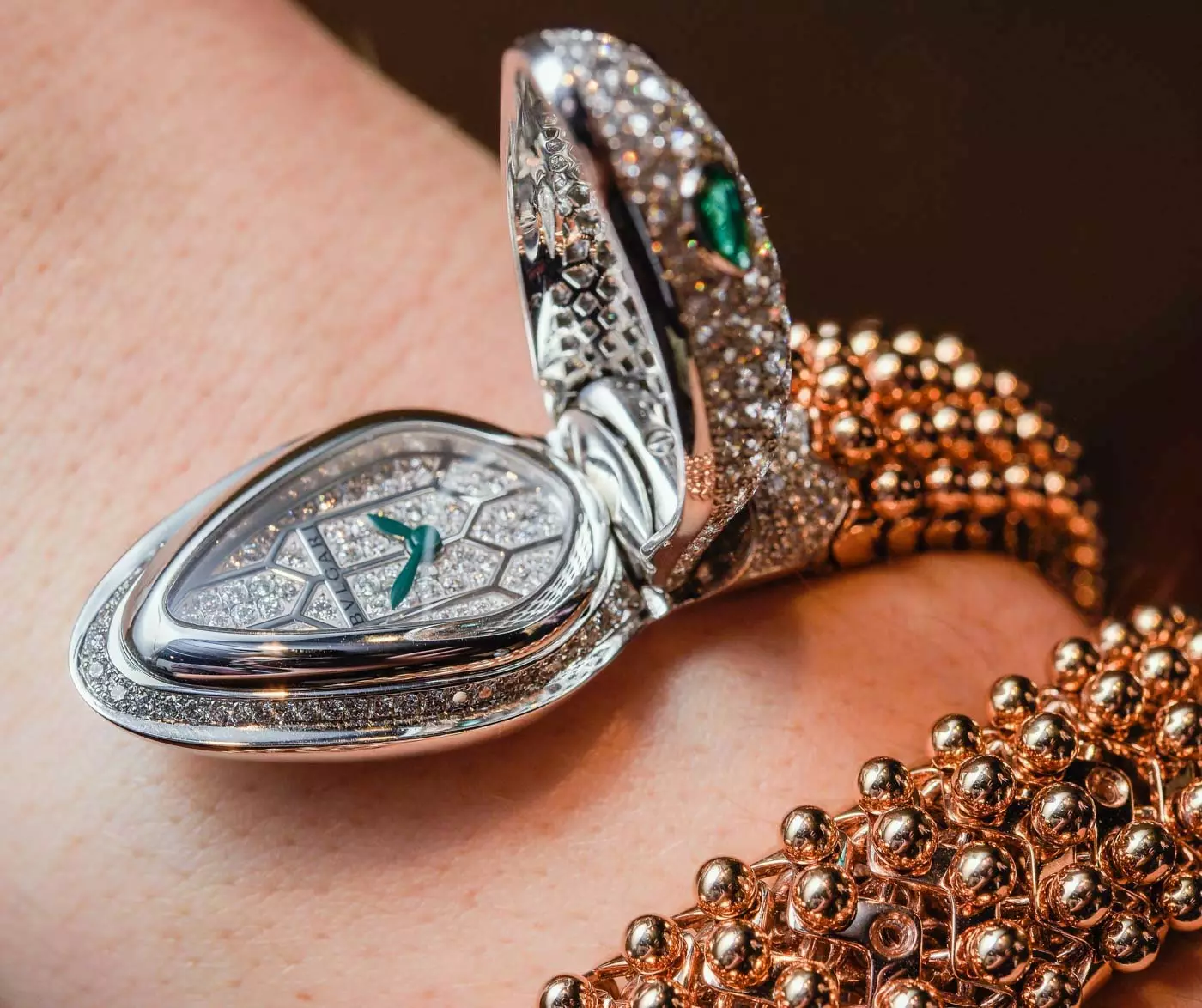 bulgari serpenti misteriosi pallini