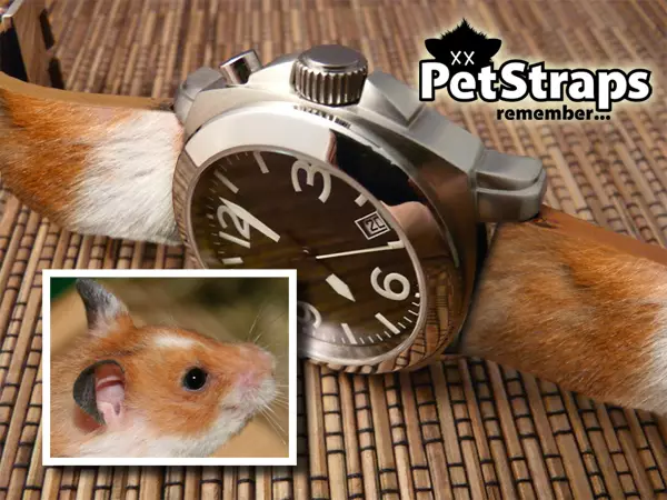 PetStraps: Pet Companion Lovehụnanya Na-ebi na... Aka Gị 28149_1