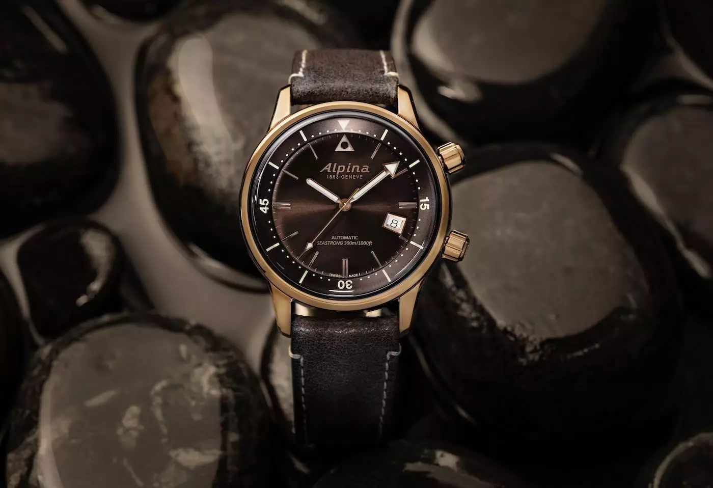 Alpina Seastrong Diver Heritage Watch