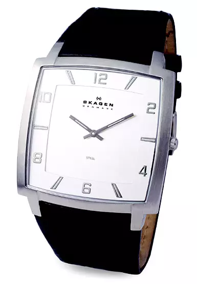 Skagen Unisex Oversized Silver Case Ur