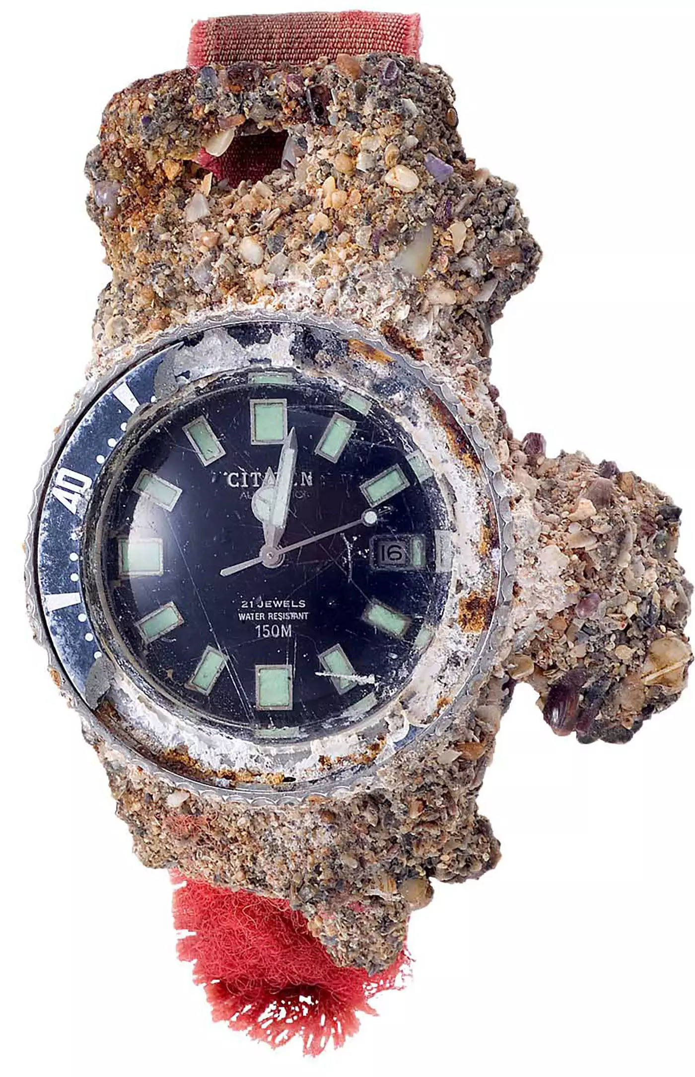 Ferkenne Enduring Dive Watch Style mei de Citizen Promaster Mechanical Diver 200m 3968_1