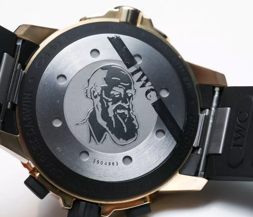 IWC-Aquatimer-Cronógrafo-Charles-Darwin-Bronce-5