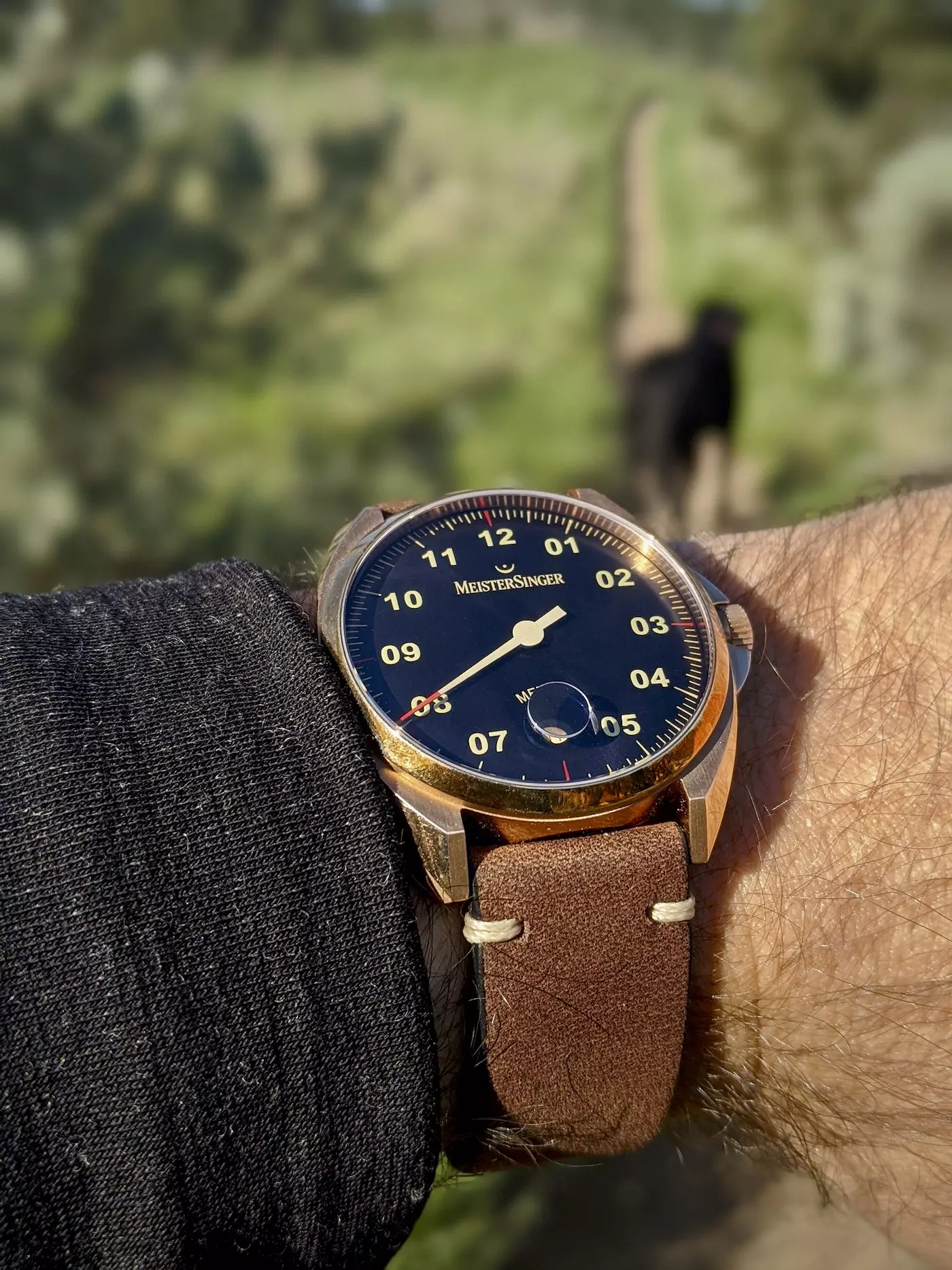 Revisión del reloj de bronce MeisterSinger Metris 5641_8