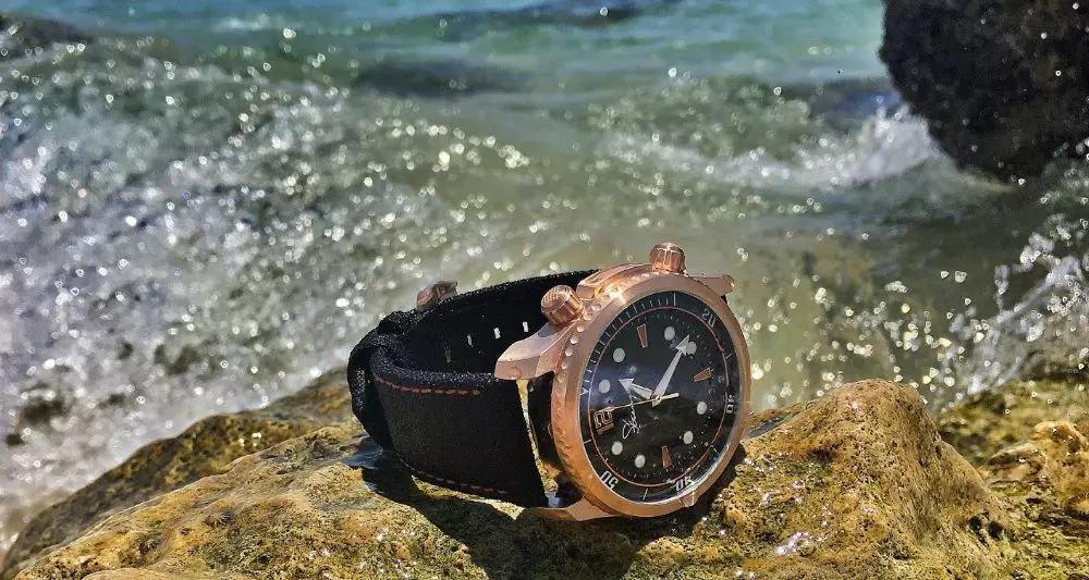 Stranger-Ocean-Predator-watch-10