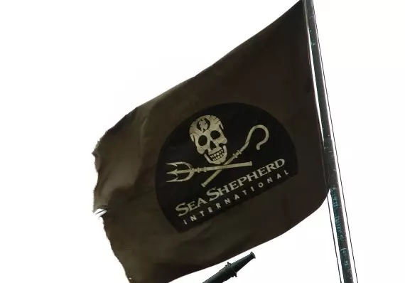 Tempvs Compvtare Sea Shepherd Watch 6729_2