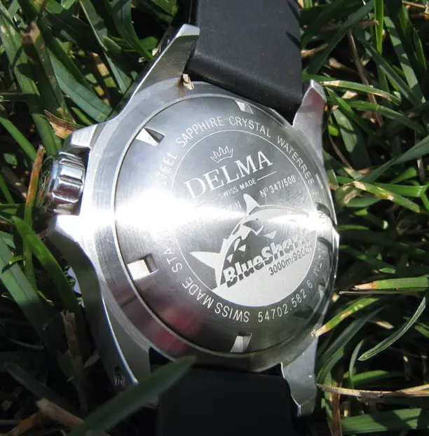 Delma-Santiago-blue-shark-watch-12